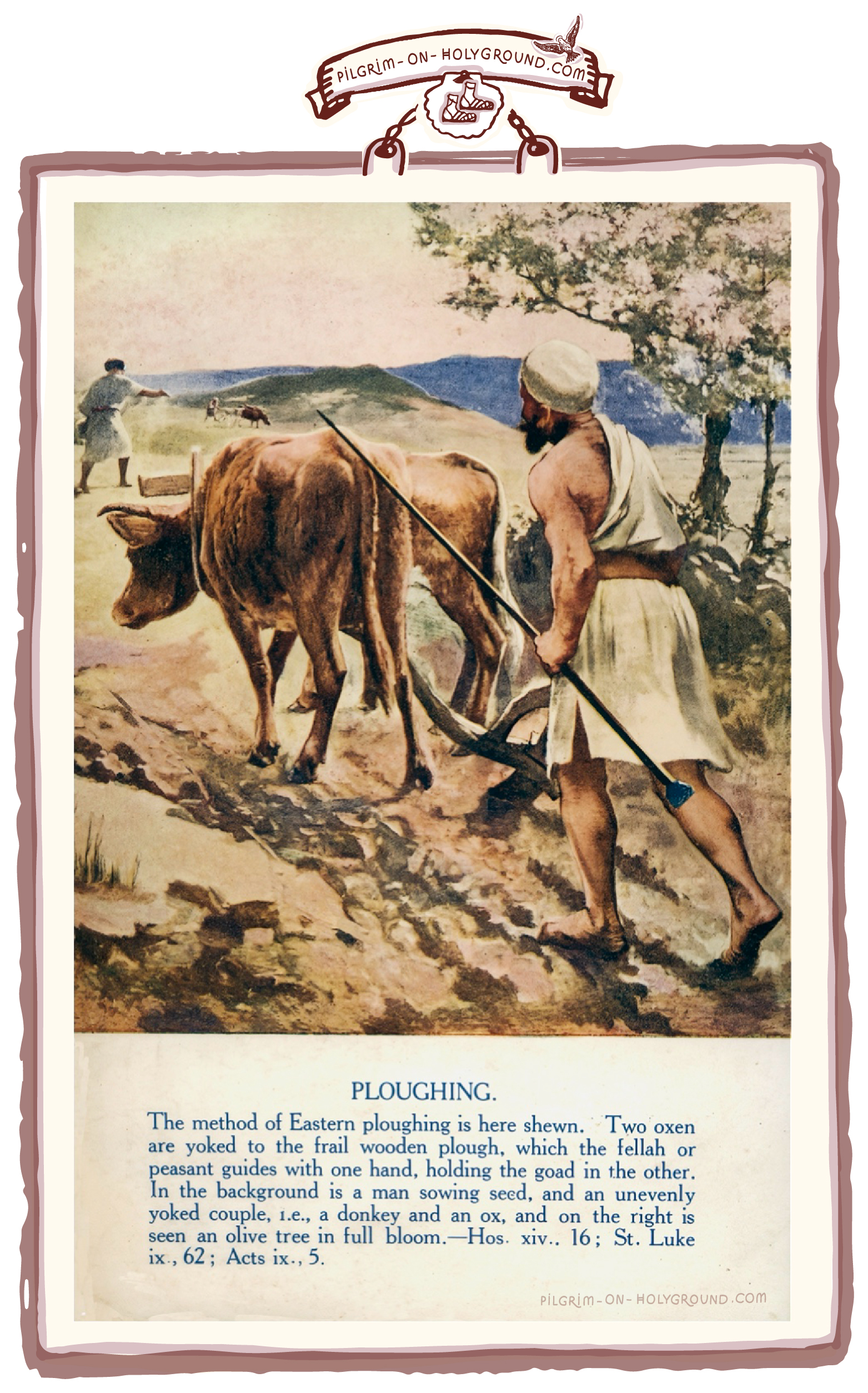 Meaning of yoke in the Bible, My Yoke is Easy Biblical Verse Mapping